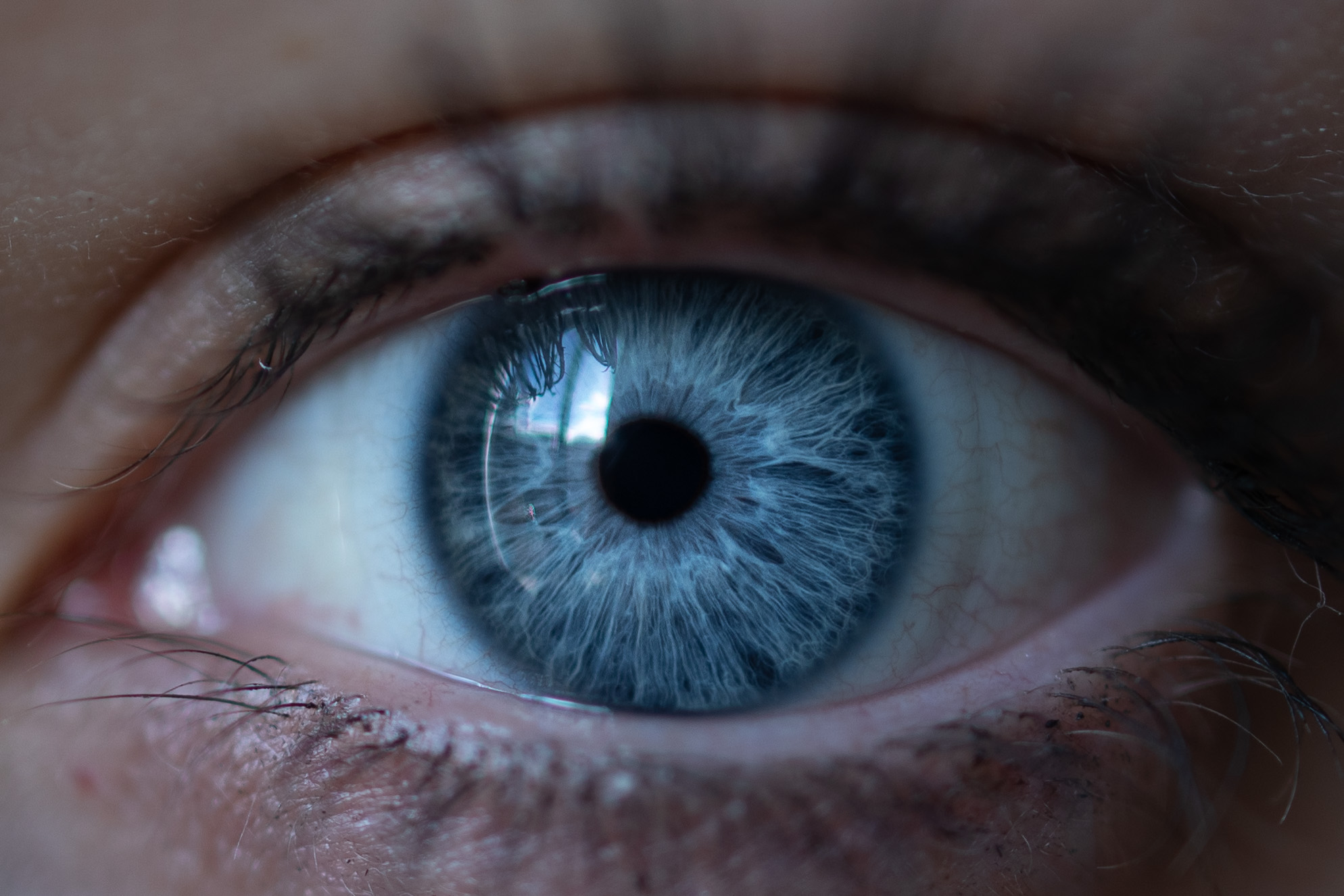 The Lens:Texture in two dimensions - Calgary Journal